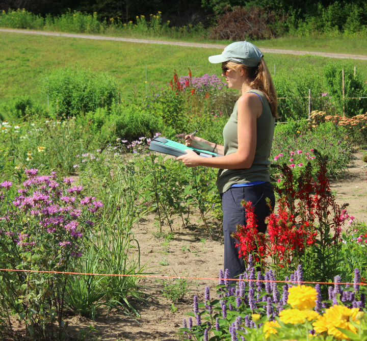 Pollinator Gardens.org | Enhancing pollinator habitat through research ...