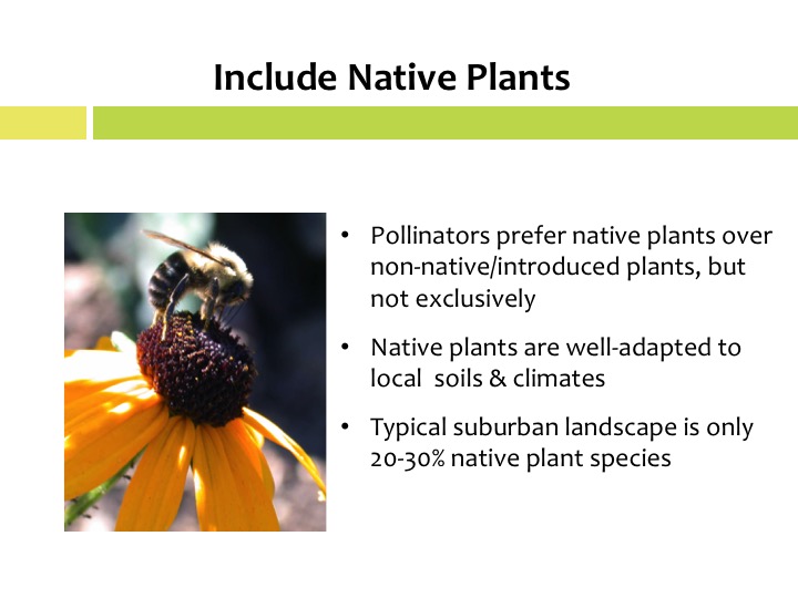 Designing Pollinator-Friendly Landscapes | Pollinator Gardens.org