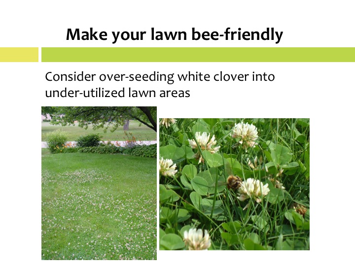Designing Pollinator-Friendly Landscapes | Pollinator Gardens.org