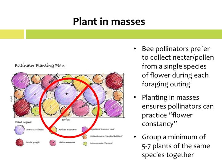 Designing Pollinator-Friendly Landscapes | Pollinator Gardens.org